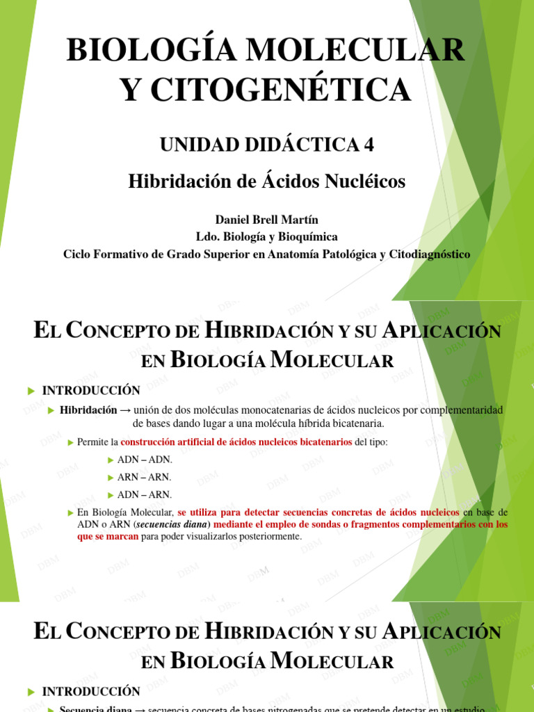 Unidad Didáctica 4 BMC - Hibridación de Ácidos Nucleicos | PDF | Hibridación de ácido nucleico | Adn
