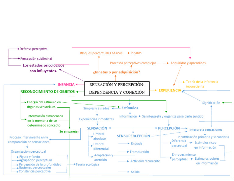 Mapa Conceptual Sensación y Percepción | PDF | Percepción | Sentidos