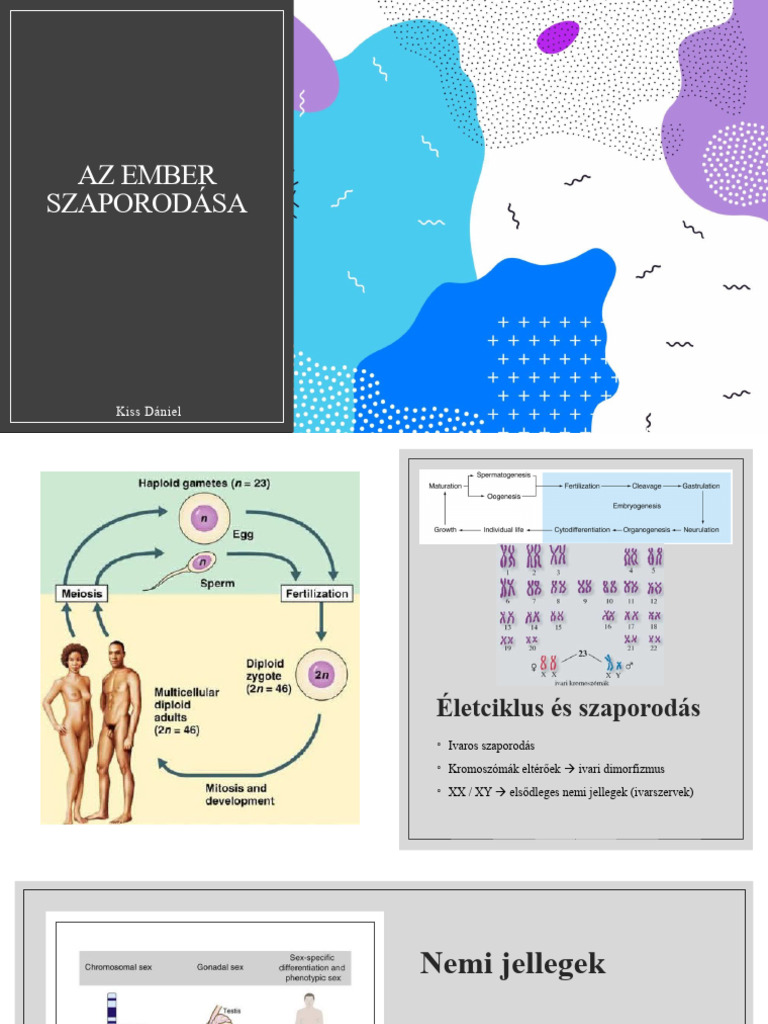 Az Ember Szaporodása | PDF