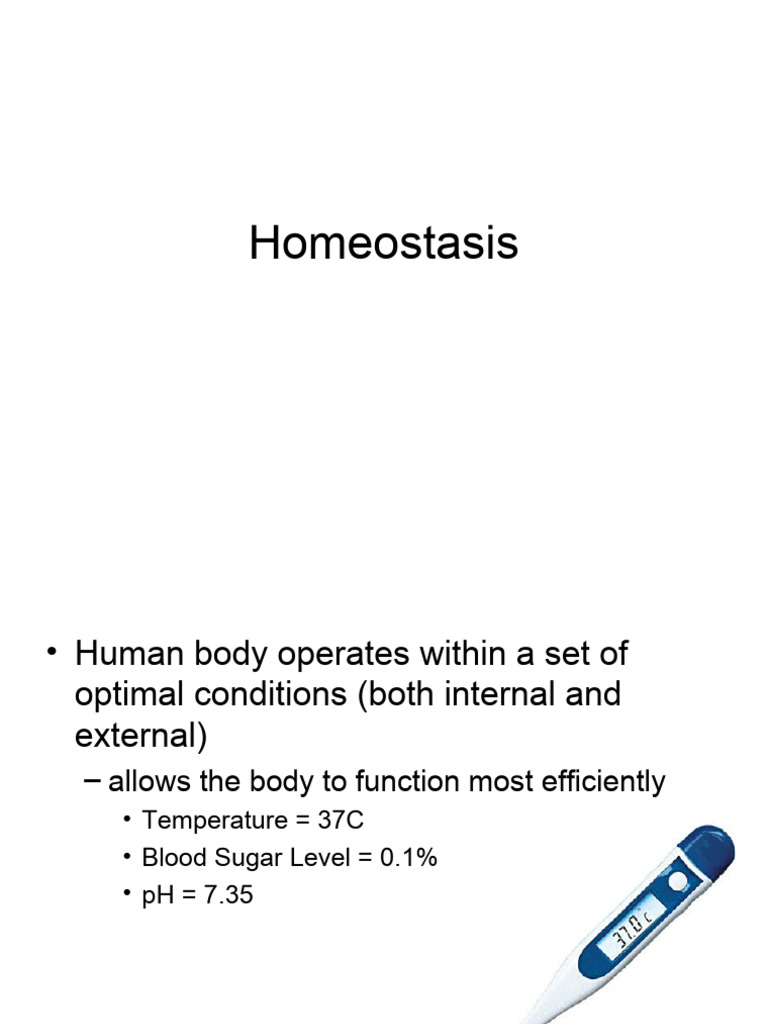 1 Homeostasis | PDF