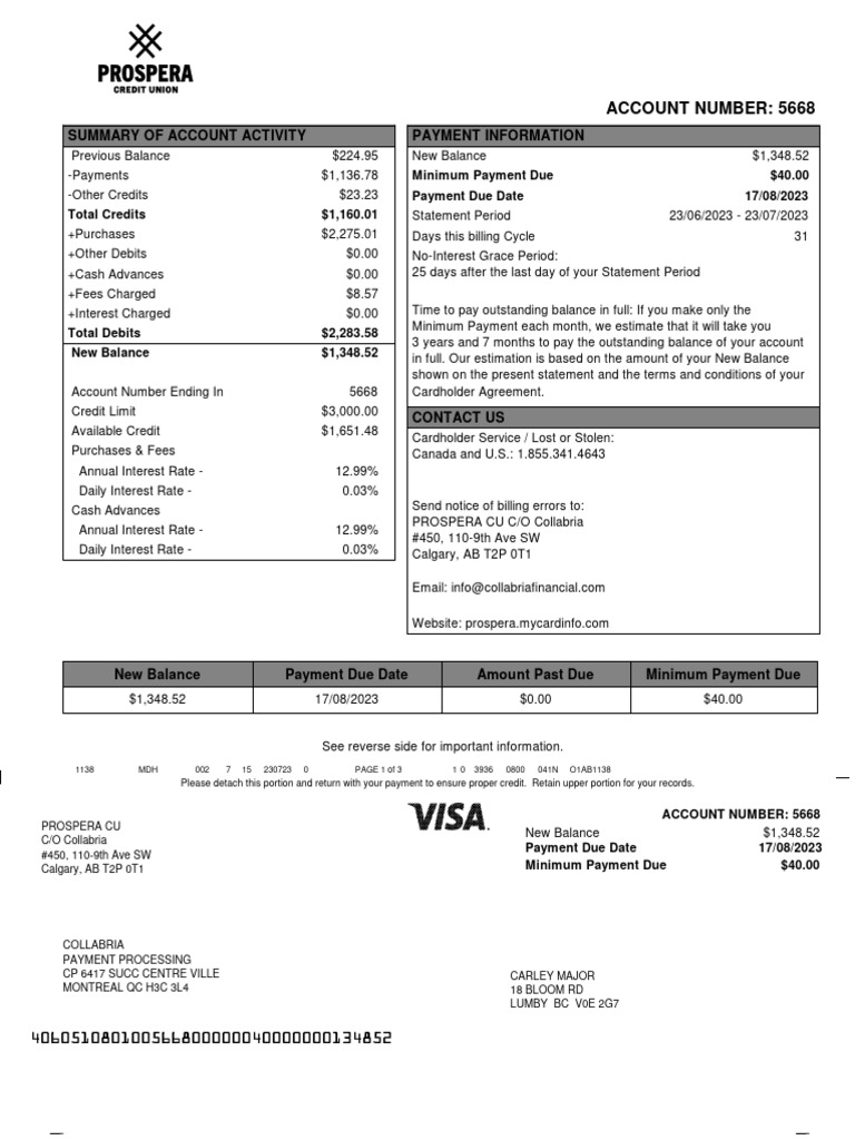 Summary of Account Activity Payment Information | PDF | Credit Card ...