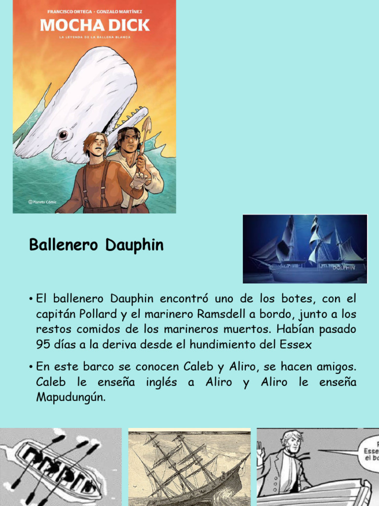 Mocha Dick | Descargar gratis PDF | Cetáceos