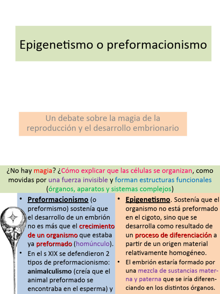 Epigenetismo o Preformacionismo | PDF | Ciencias de la vida | Reproducción