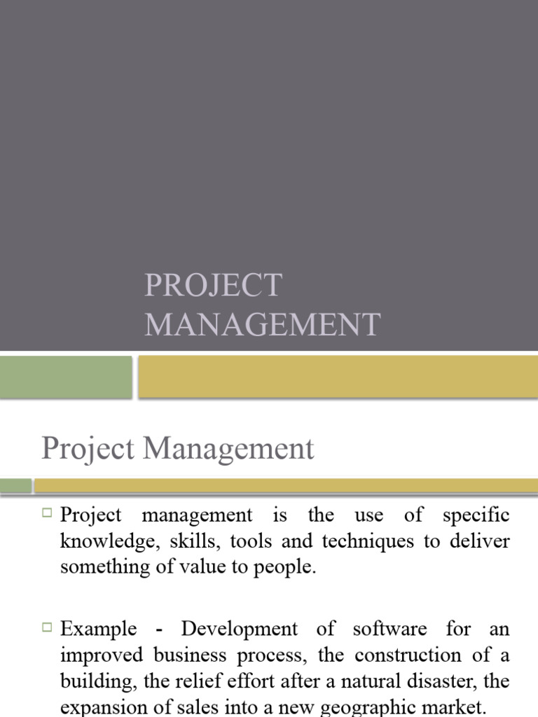 Project Management PPT | PDF | Project Management | Economies