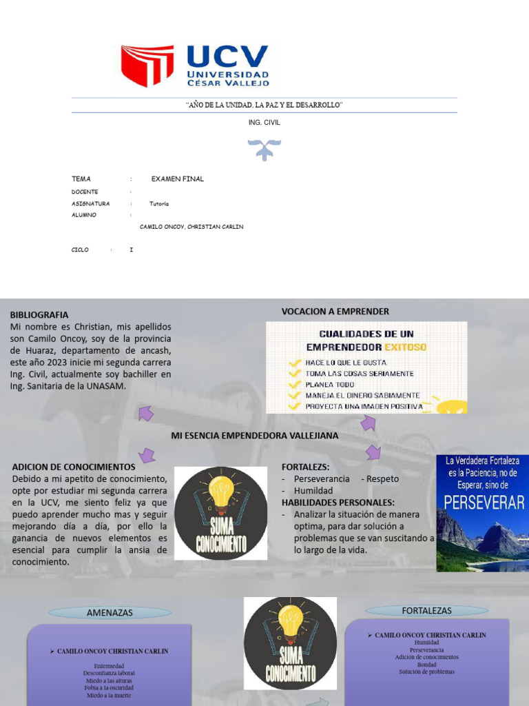 Proyecto Challenge Camilo Oncoy Christian | PDF | Alimentos | Nutrición