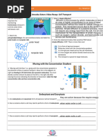 Video Recap of Alleles and Genes by Amoeba Sisters | PDF | Genotype ...