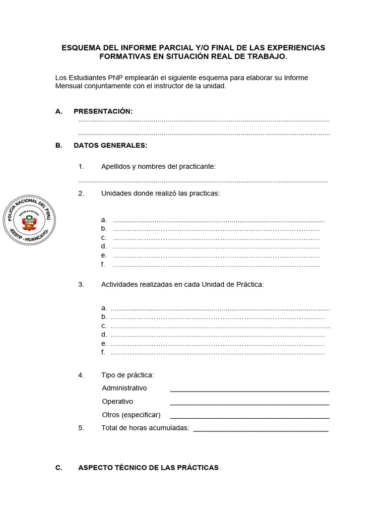 Esquema Del Informe Parcial | PDF | Cognición