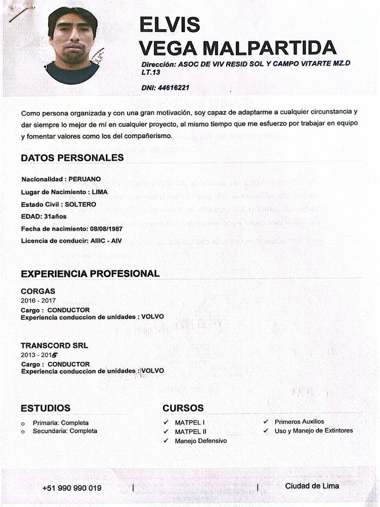 CV - Vega Elvis | PDF