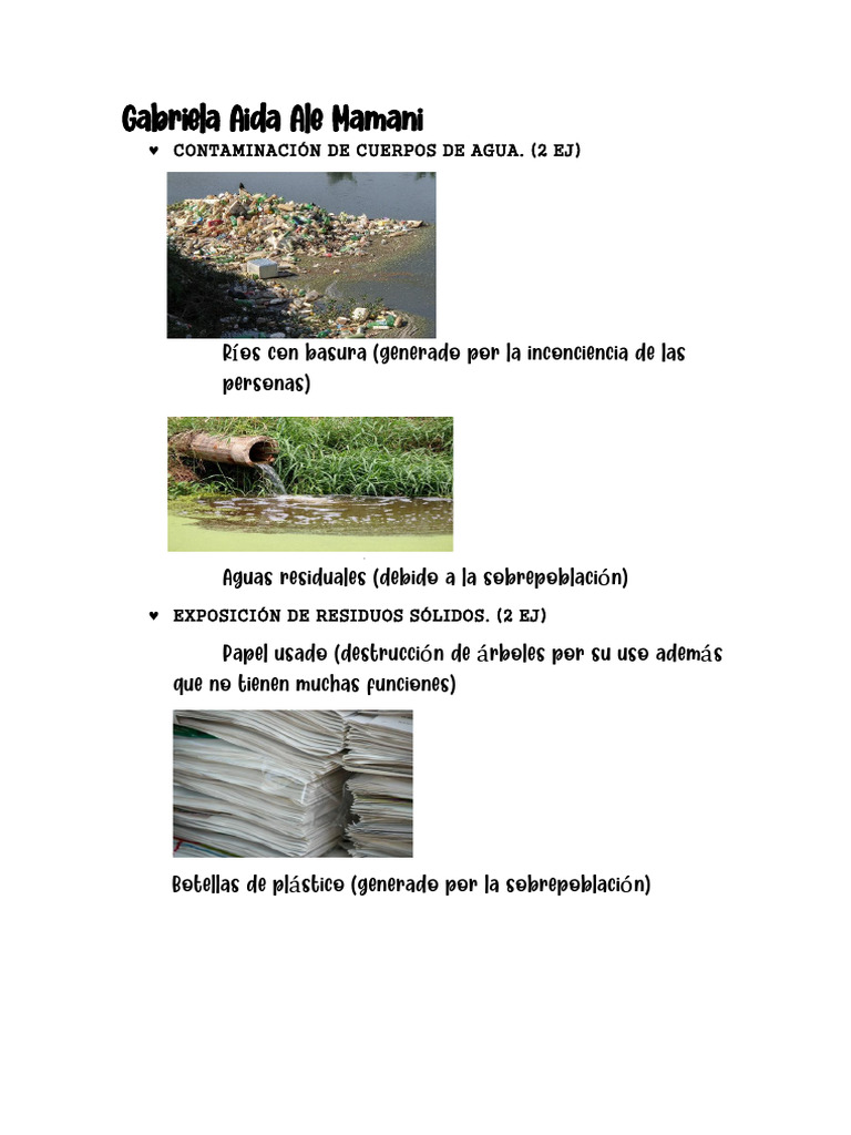 Gabriela Aida Ale Mamani | PDF