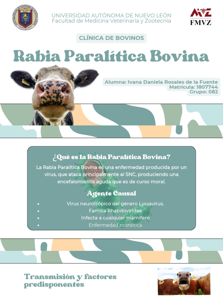 Rabia Paralítica Bovina: Síntomas y Tratamiento | PDF | Rabia | Enfermedades y trastornos