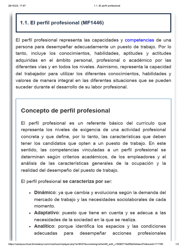 Definición y características del perfil profesional | PDF | Plan de ...
