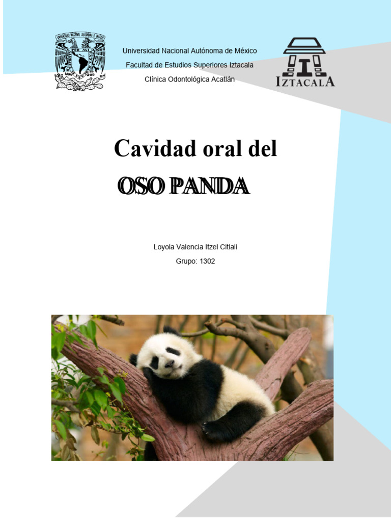 Panda | PDF | Panda gigante | Osos