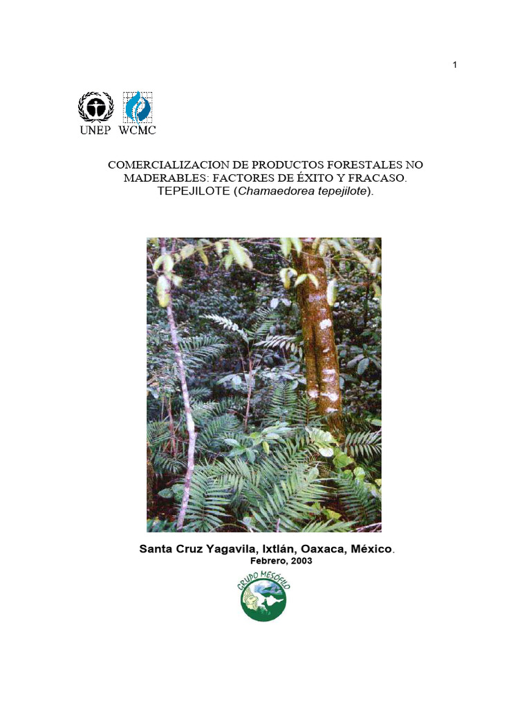 Santa Cruz Yagavila | PDF | Alcalde | Medicina