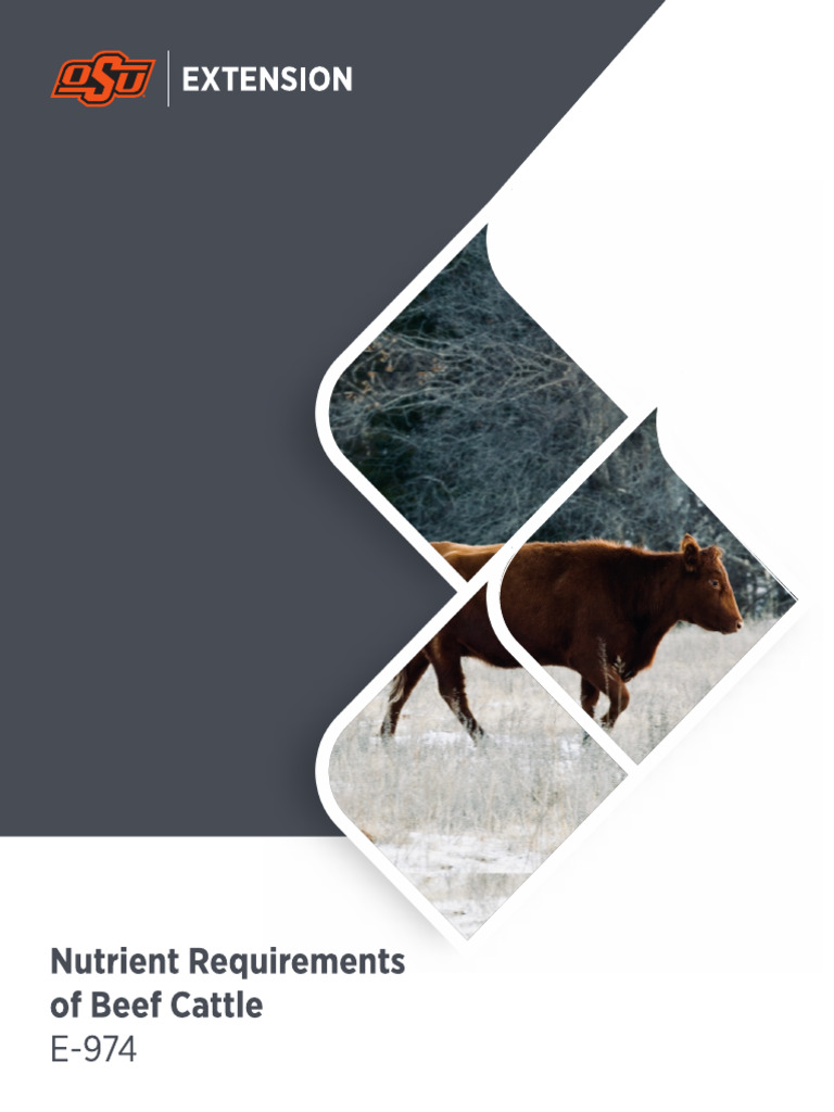 Nutrient Requirements of Beef Cattle e 974 | PDF | Cattle | Nutrients