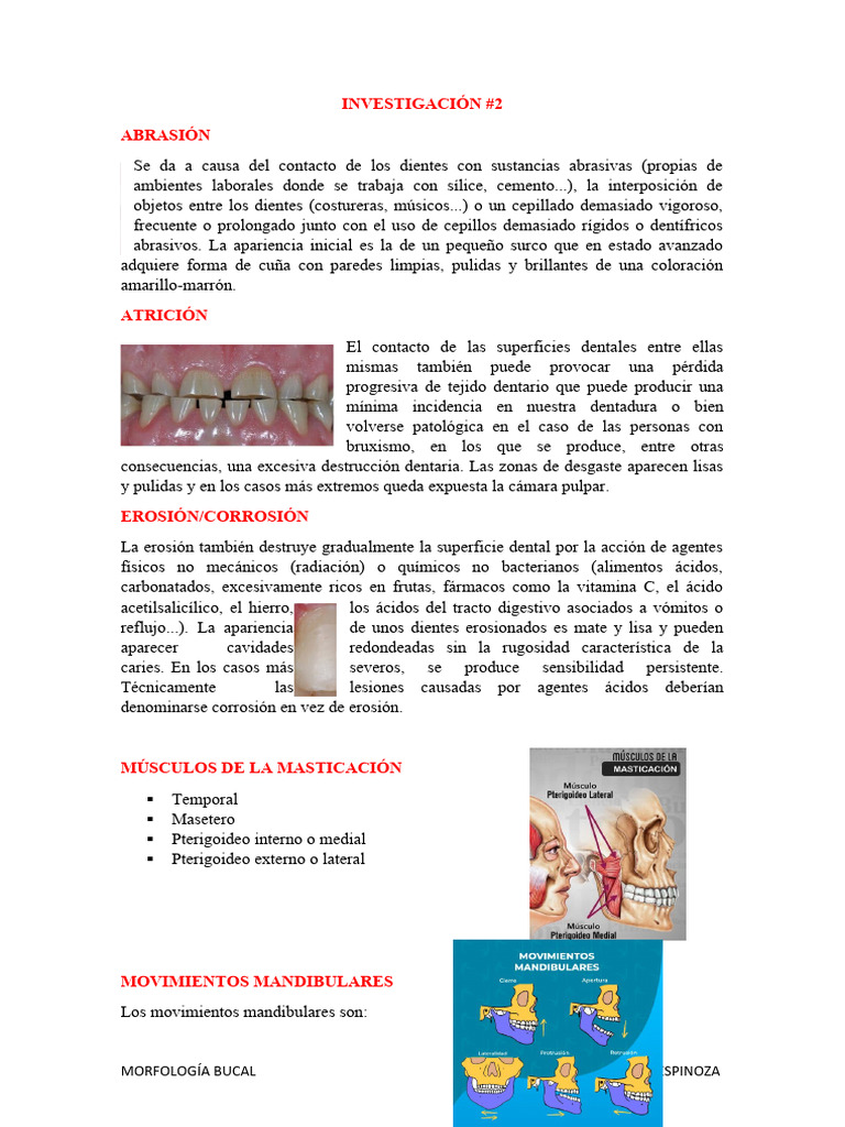 MORFOLOGIA BUCAL abrasión atrición erosión | PDF | Ciencias de la Salud ...