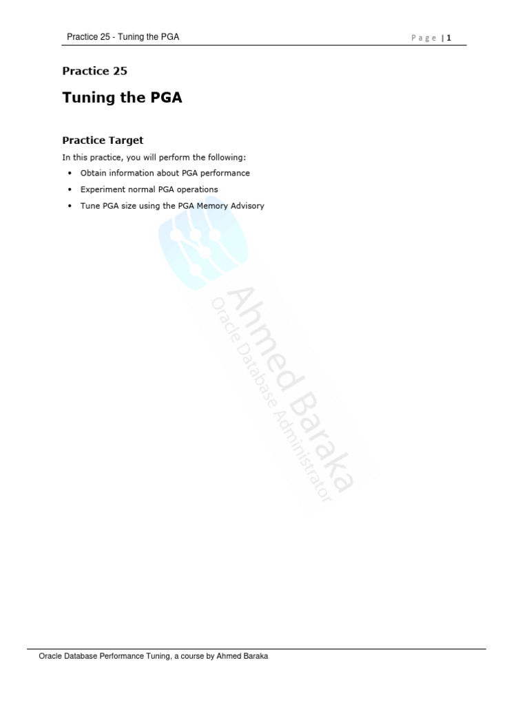Practice 25 - Tuning The PGA | PDF | Software | Computer Science