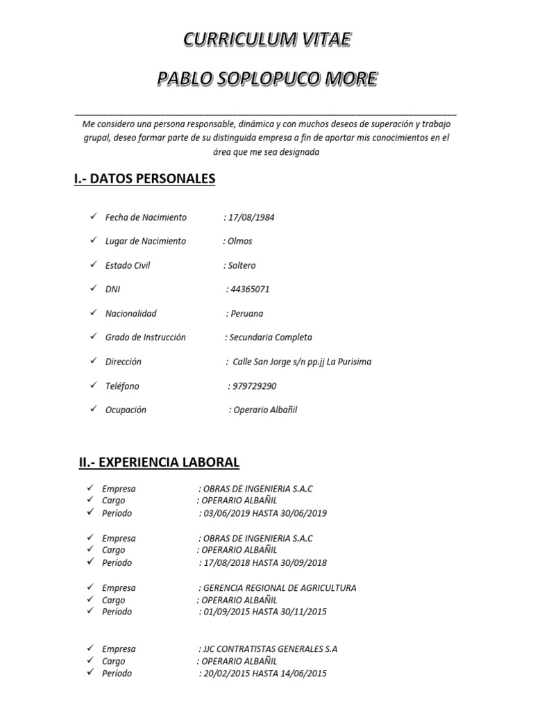 CV Pablo Soplopuco Operario Albañil | PDF