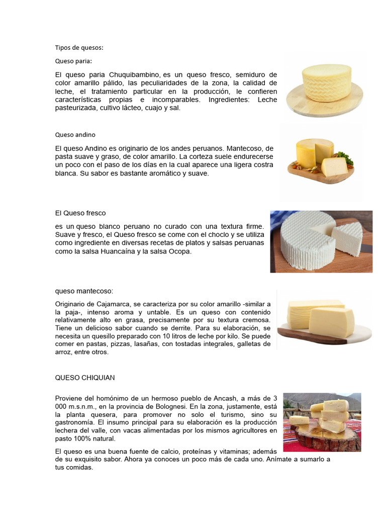 Tipos de Quesos | PDF | Queso | Leche