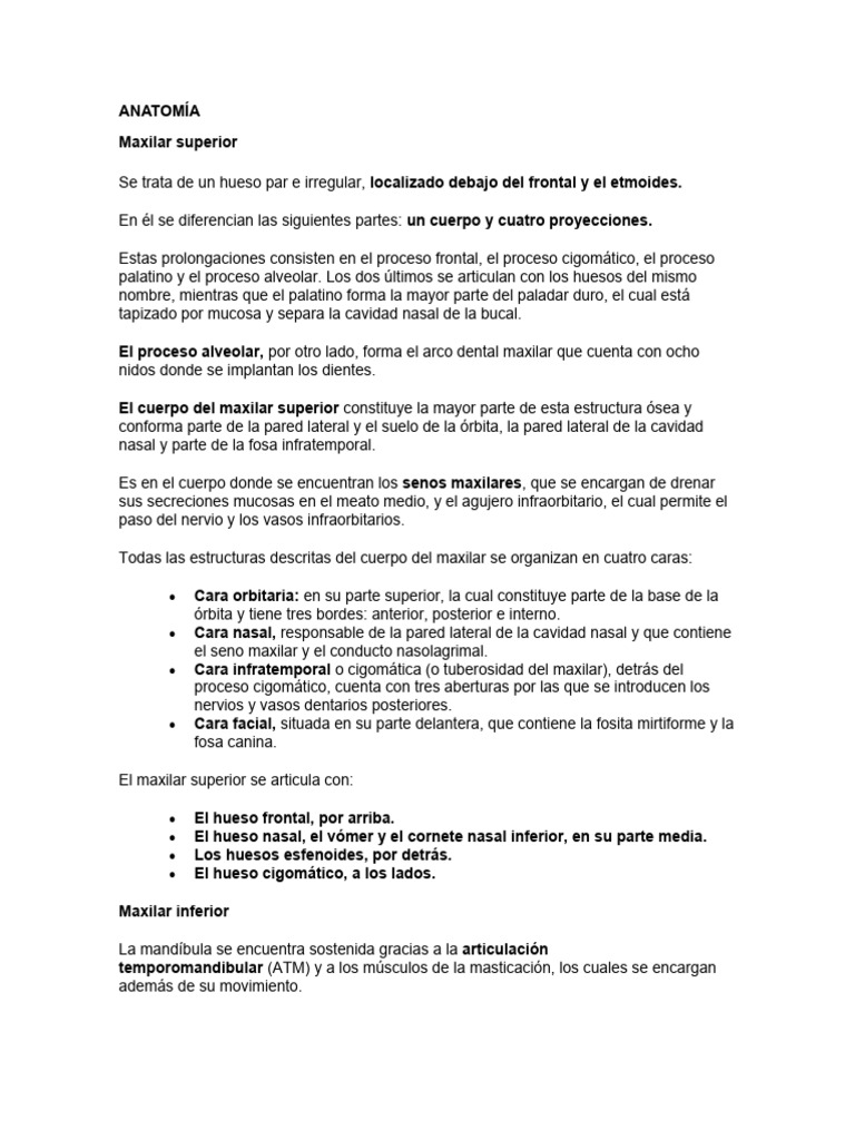 Anatomía del Maxilar Superior e Inferior | PDF | Anatomía humana ...