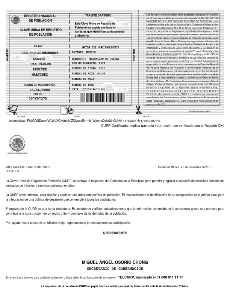 FORMATO CURP | PDF | Gobierno