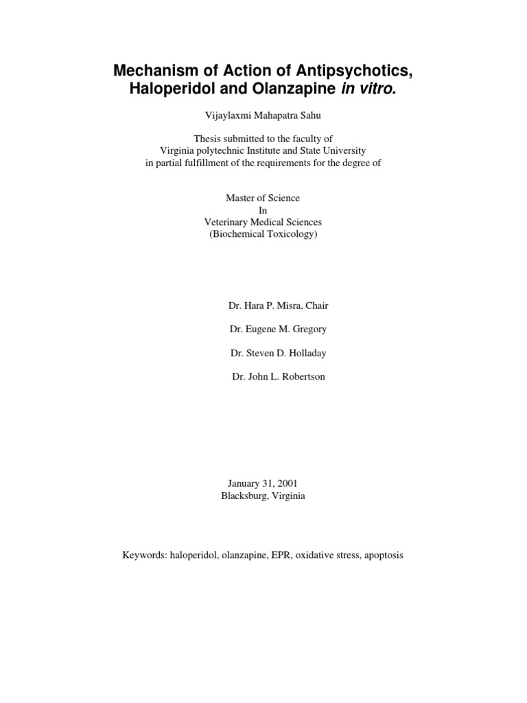 Final Thesis | PDF
