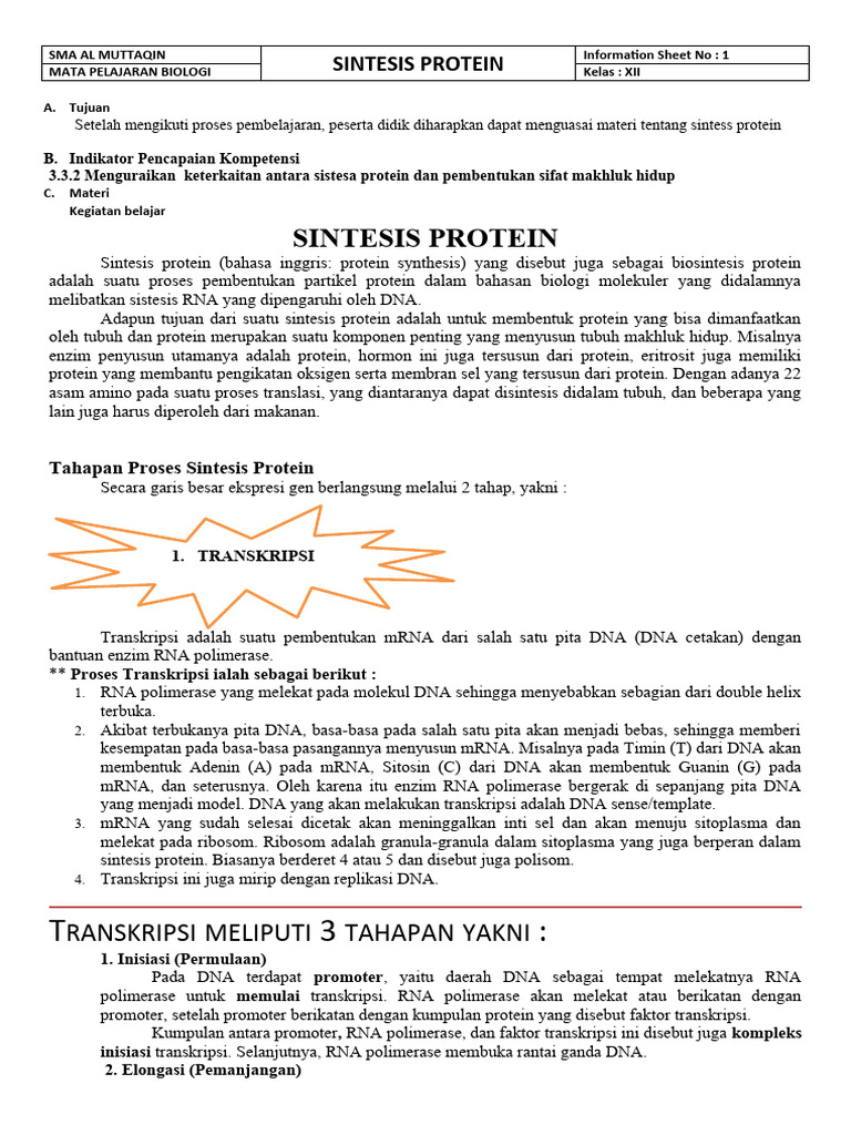 Bahan Ajar Sintesis Protein | PDF