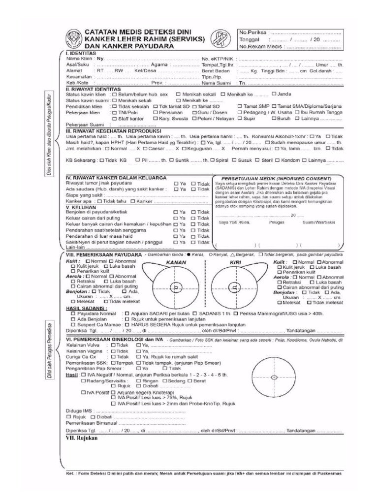 Form sadanis+IVA | PDF