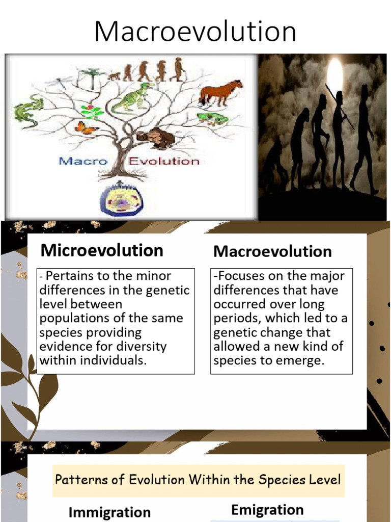 Macroevolution 1 | PDF | Evolution | Species