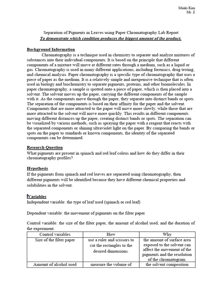 Lab Report Minki Y12 | PDF | Chromatography | Accuracy And Precision