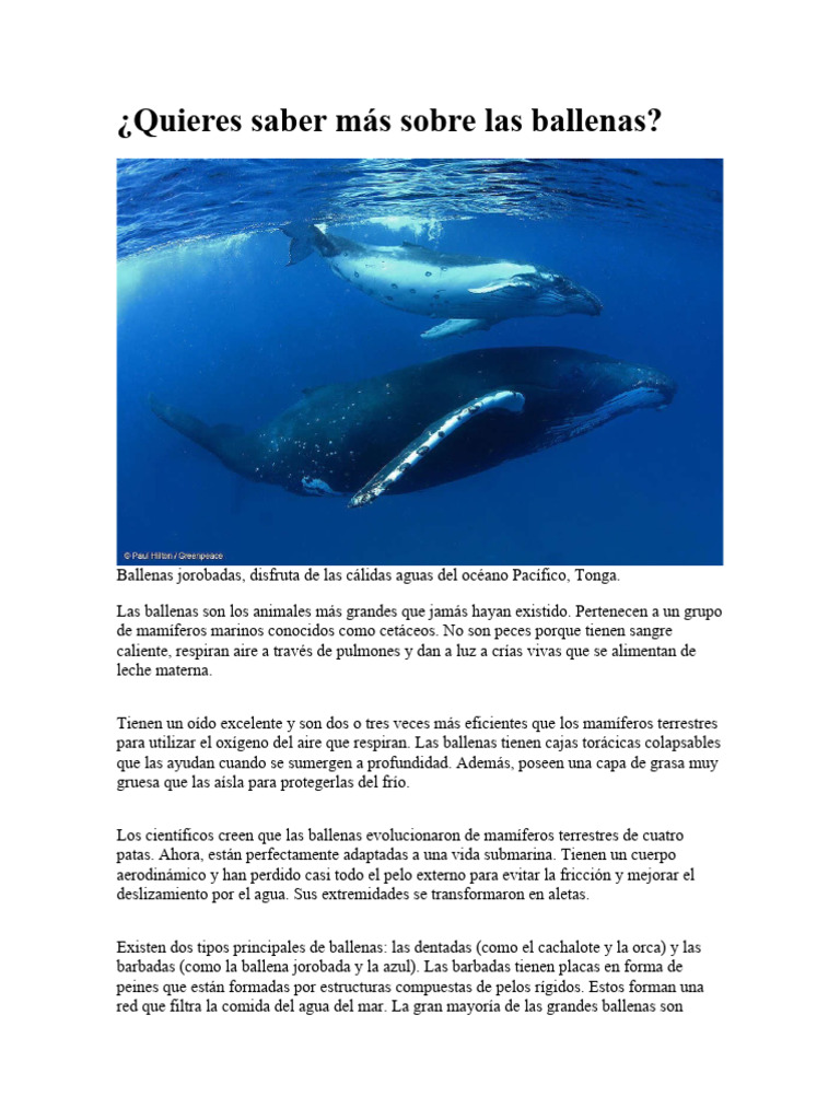 Información sobre las ballenas para niños | PDF | Mamíferos marinos ...