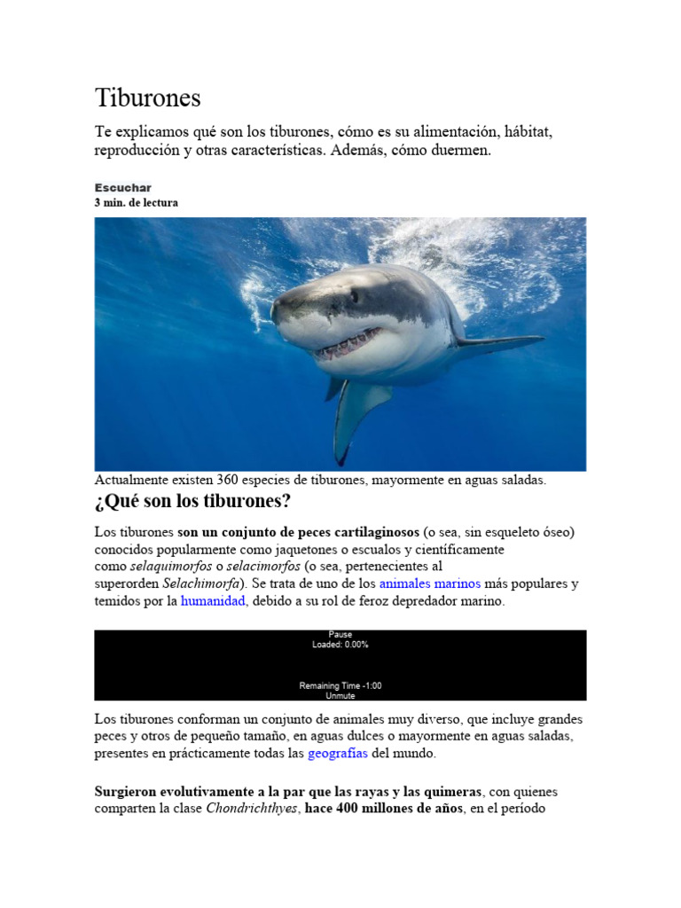 Tiburones Pdf Tiburones Animales Acuáticos