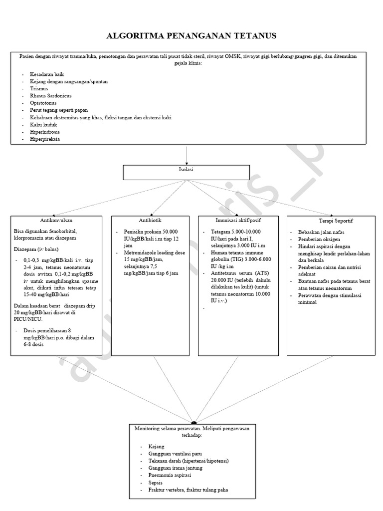 TUGAS Algoritma Penanganan Tetanus | PDF