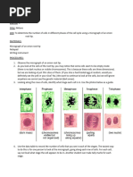 Lab Manual - Mitosis in An Onion Root Cell | PDF