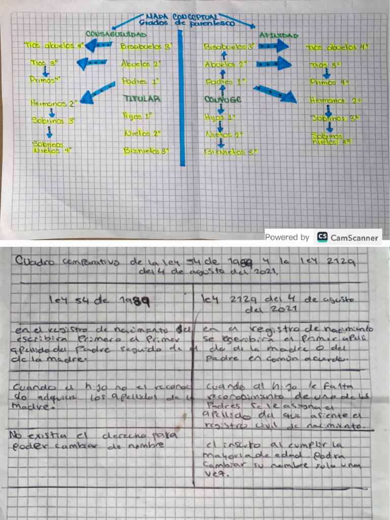 Cuadro Comparativo y Mapa Conceptual | PDF