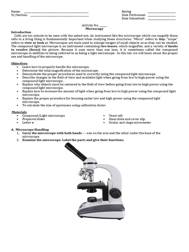 LAB 1 - Microscopy and CELL Overview | PDF | Microscope | Cell (Biology)
