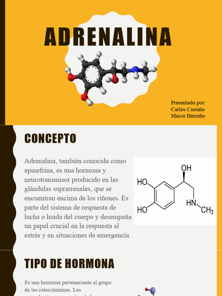 Adrenalina | PDF | Hormona | Fisiología