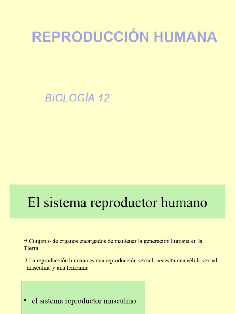 Reproducción Humana: Sistemas y Procesos | PDF | Sistema reproductivo ...