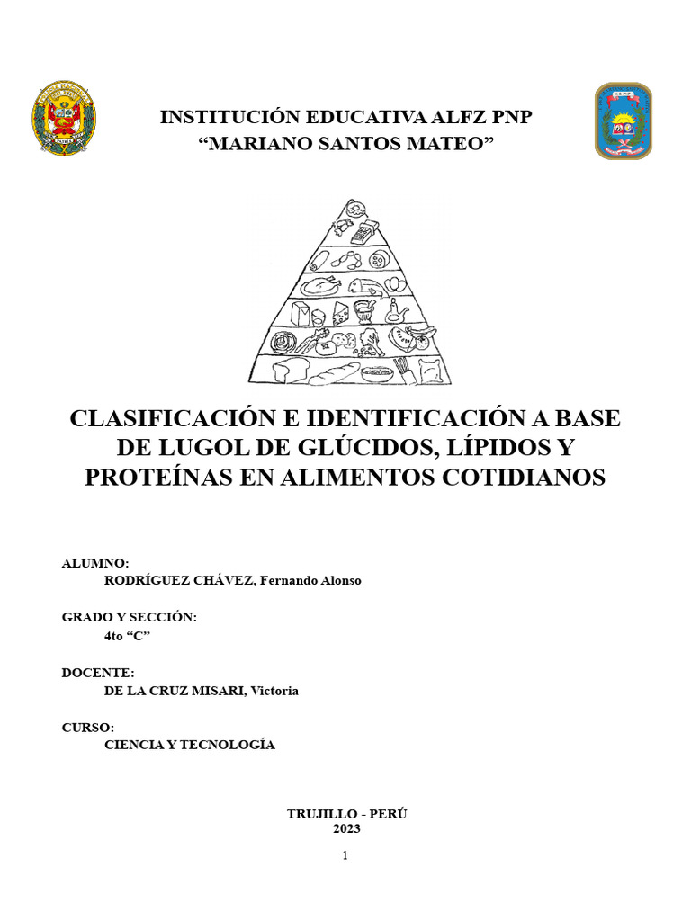 Identificación de Almidón con Lugol | PDF | Almidón | Carne