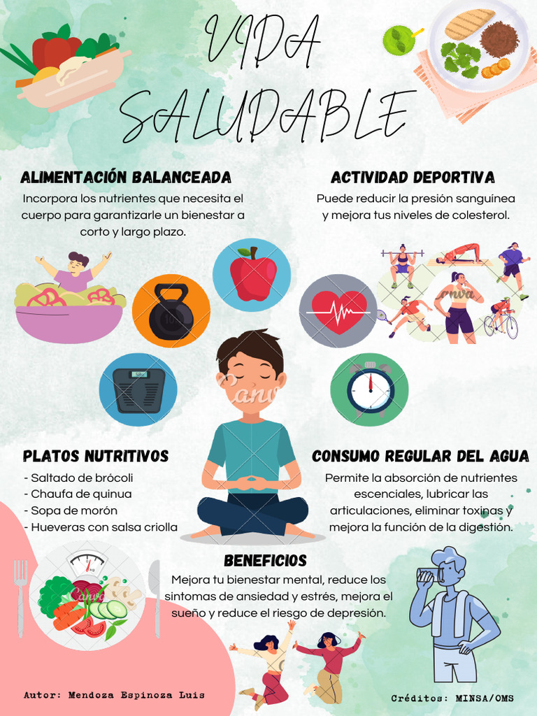 Vida Saludable (Infografía) Mendoza Espinoza Luis | PDF