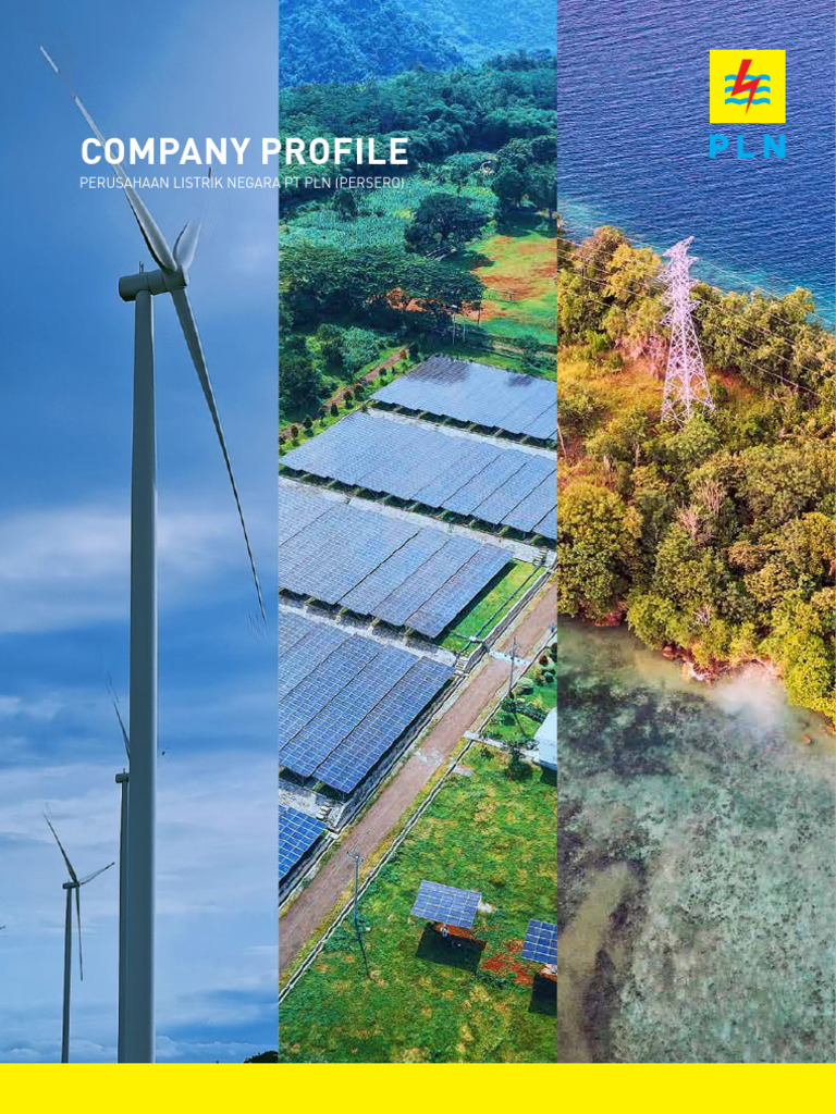 Company Profile PLN | PDF