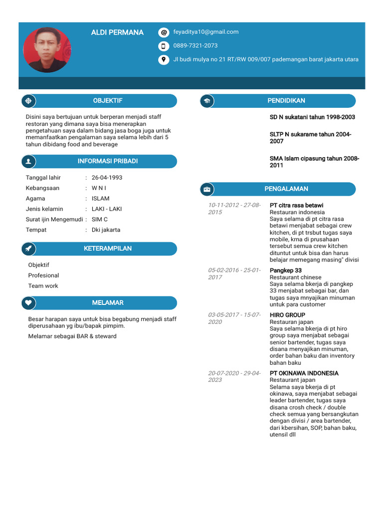 CV 2023-Aldi Permana | PDF