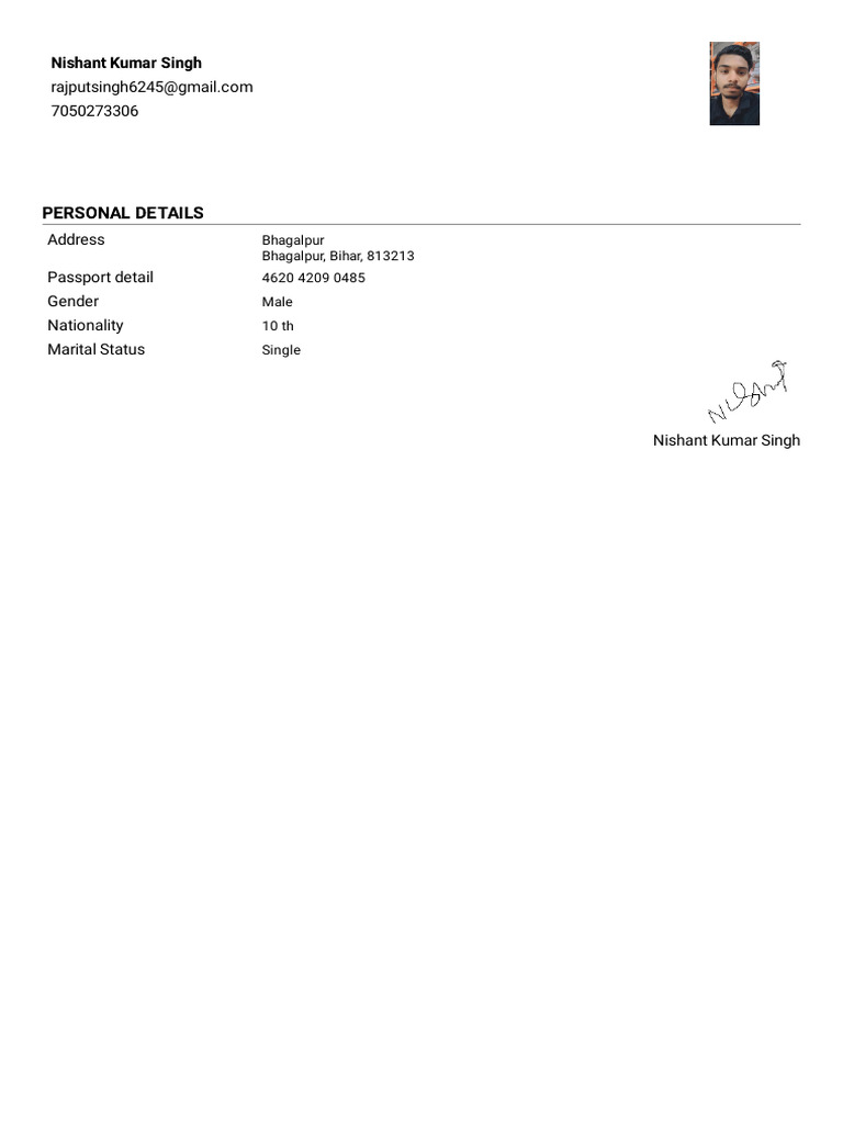 Resume - Nishant RAJPUT - Format1 | PDF