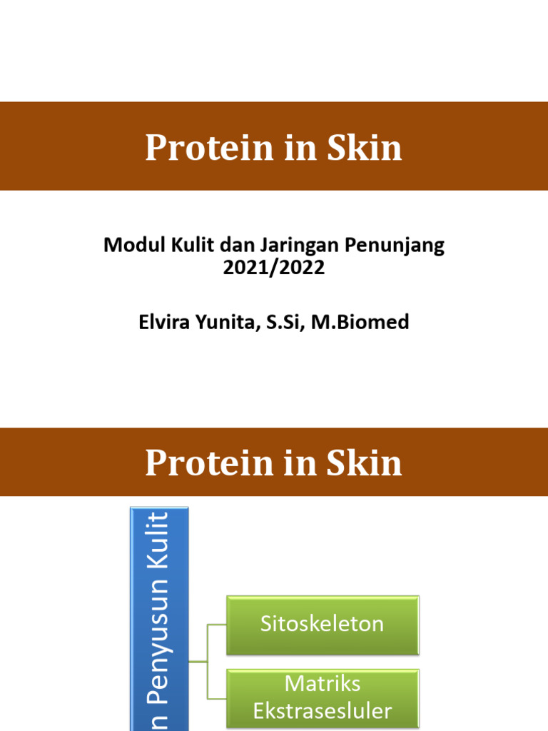 K1. Protein Penyusun Kulit (Elvira Yunita, S.Si, M.Biomed) | PDF ...