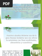 Plantas_Medicinales_Selva_Peruana | PDF