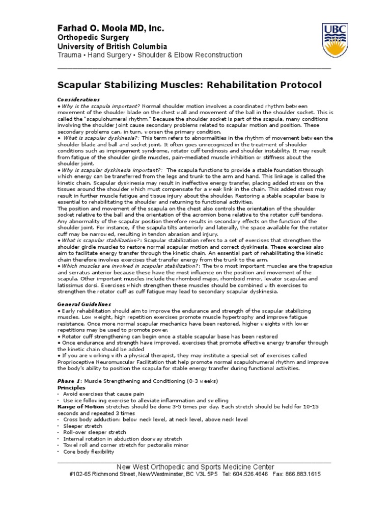 Scapular Stabilization Rehabilitation Protocol | PDF | Shoulder ...