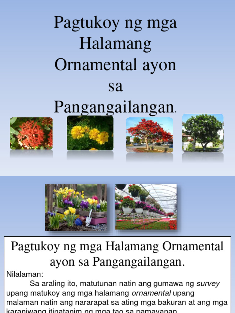 Pagtukoy NG Mga Halamang Ornamental Ayon Sa Pangangailangan | PDF