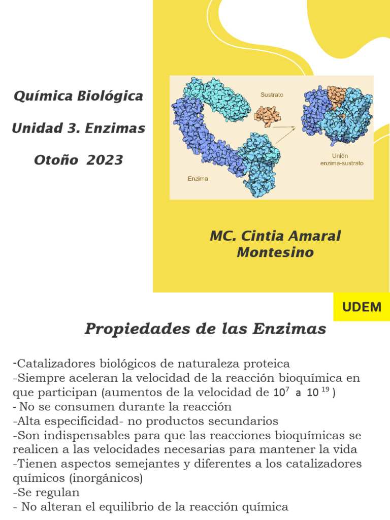 Enzimas | PDF | Enzima | Inhibidor de la enzima