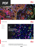 CytoVision Brochure 01LBL1016 A3 Screen | PDF | Microsoft Windows ...