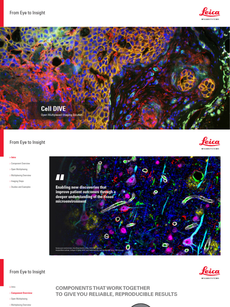 Cell DIVE: Advanced Multiplexed Imaging | PDF | Biomarker | Cancer