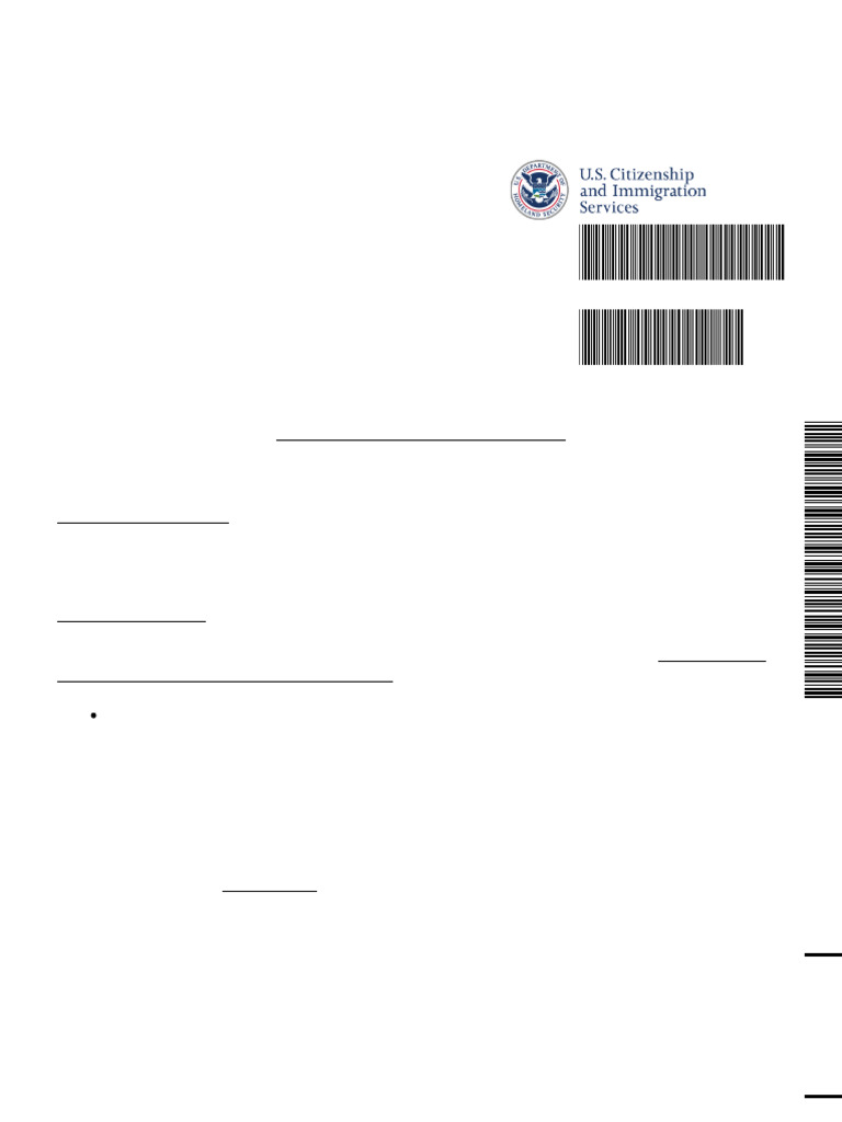 Request For Evidence | PDF | United States Citizenship And Immigration ...